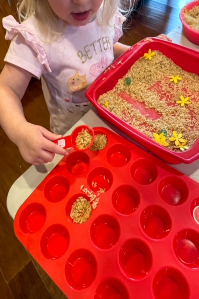 Sensory Rice Play Idea: Make Muffins - Brief and Balanced